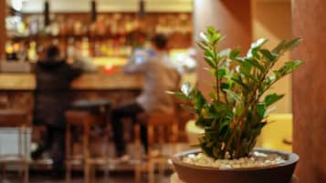 Bar (no alojamento)