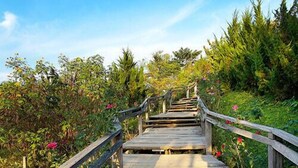 Uma escadaria de madeira que sobe uma colina, cercada por vegetação e flores.