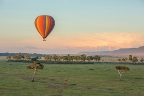 Um balão de ar quente sobre um campo gramado com árvores e uma girafa.