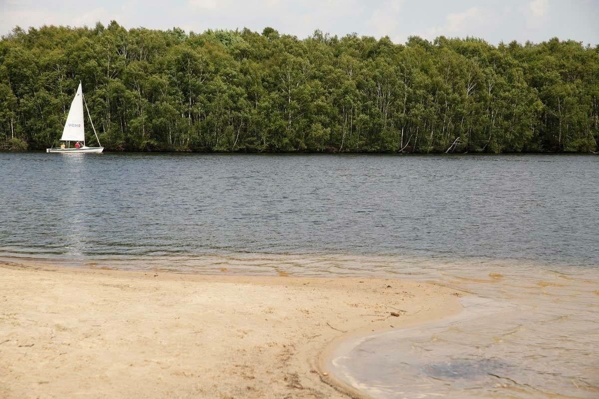 Uma praia arenosa com um veleiro em águas calmas, rodeada por uma floresta densa.