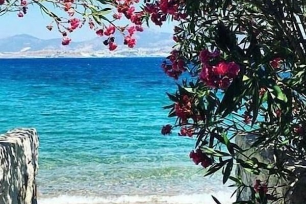 Perto da praia