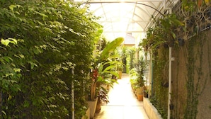 Um corredor estreito e iluminado pelo sol, com plantas em vasos em ambos os lados, que leva a uma área coberta com chão de azulejos.