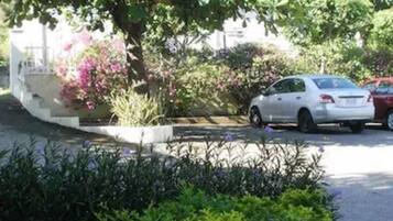 Um carro branco estacionado em uma entrada de garagem, com uma árvore e plantas floridas ao fundo.