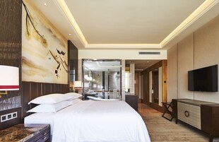Quarto de hotel com uma cama grande, televisão, espelho e um quadro na parede.
