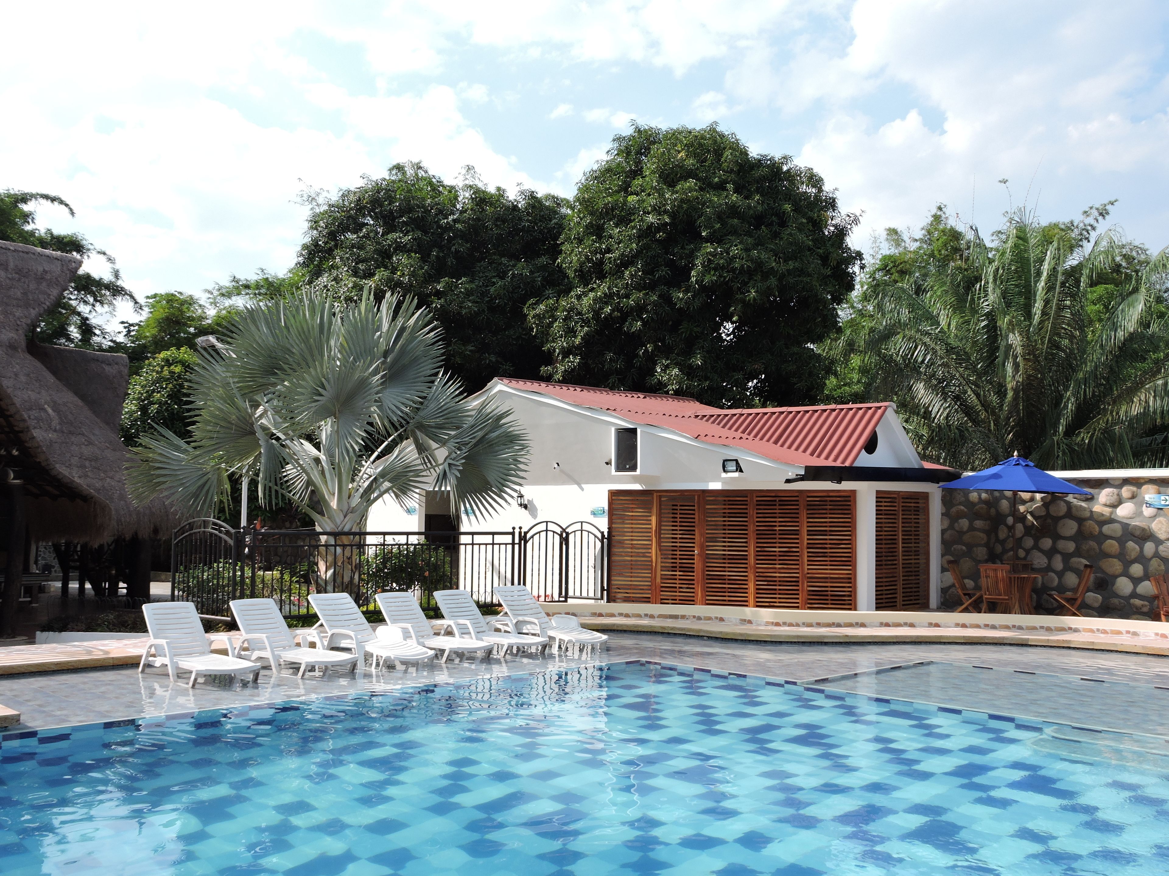 Piscina com azulejos quadriculados, rodeada por espreguiçadeiras e uma palmeira.
