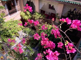 Pátio com varanda, vegetação exuberante e vibrantes flores de bougainvillea rosa.