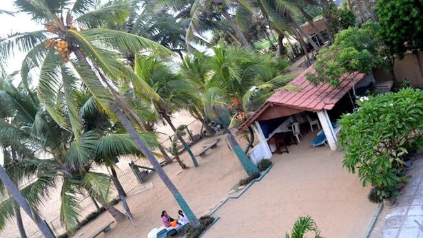 Uma área à beira-mar com palmeiras, uma cabana pequena e um banco.