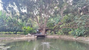 Quarto Básico, 1 quarto | Terraço/pátio interior