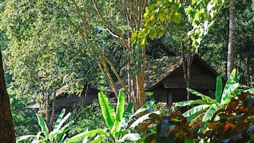 Terrenos do alojamento