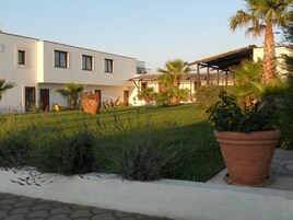 Área da propriedade