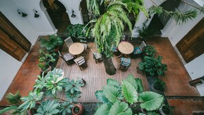 Área de pátio externa com piso de madeira, plantas em vasos e disposição de assentos.