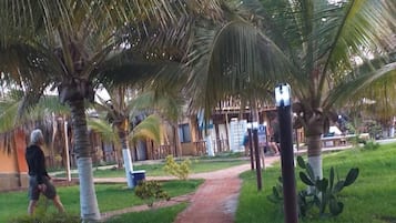 Vista para o jardim