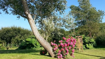 Jardim