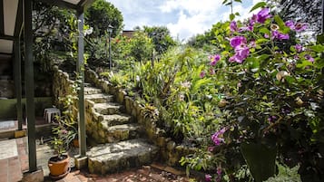 Jardim