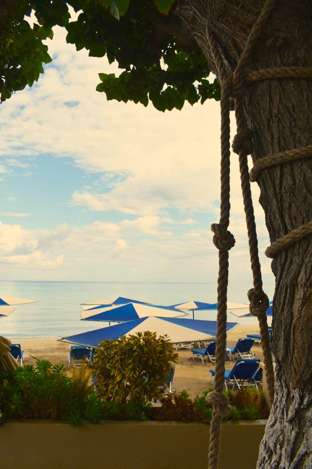 Vista da praia com guarda-sóis e espreguiçadeiras.