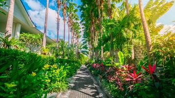 Jardim
