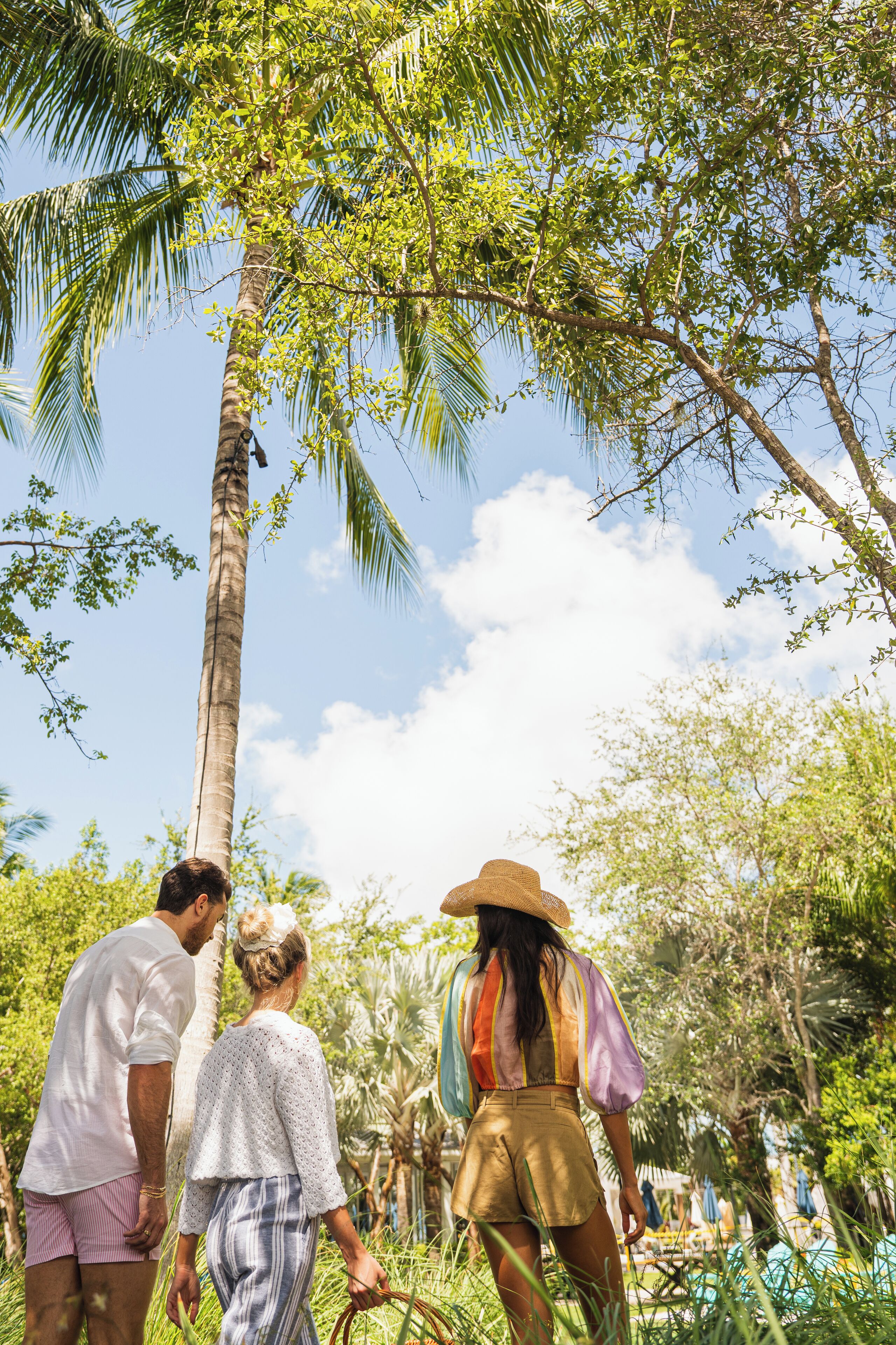 Um casal caminhando por um jardim tropical exuberante, com altas palmeiras e céu claro.