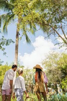 Um casal caminhando por um jardim tropical exuberante, com altas palmeiras e céu claro.