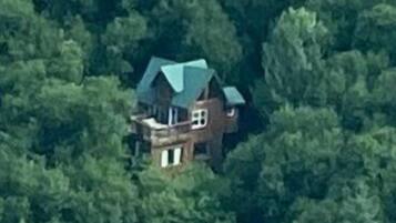 Uma casa rodeada por uma floresta densa.