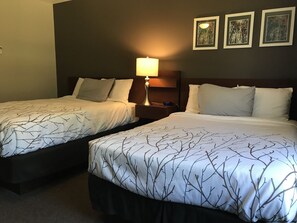 Double Deluxe Room (w/extra bed, easy water access) | Cortinas/cortinados opacos, Wi-fi grátis, roupa de cama fornecida 