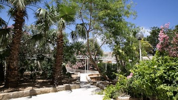 Jardim
