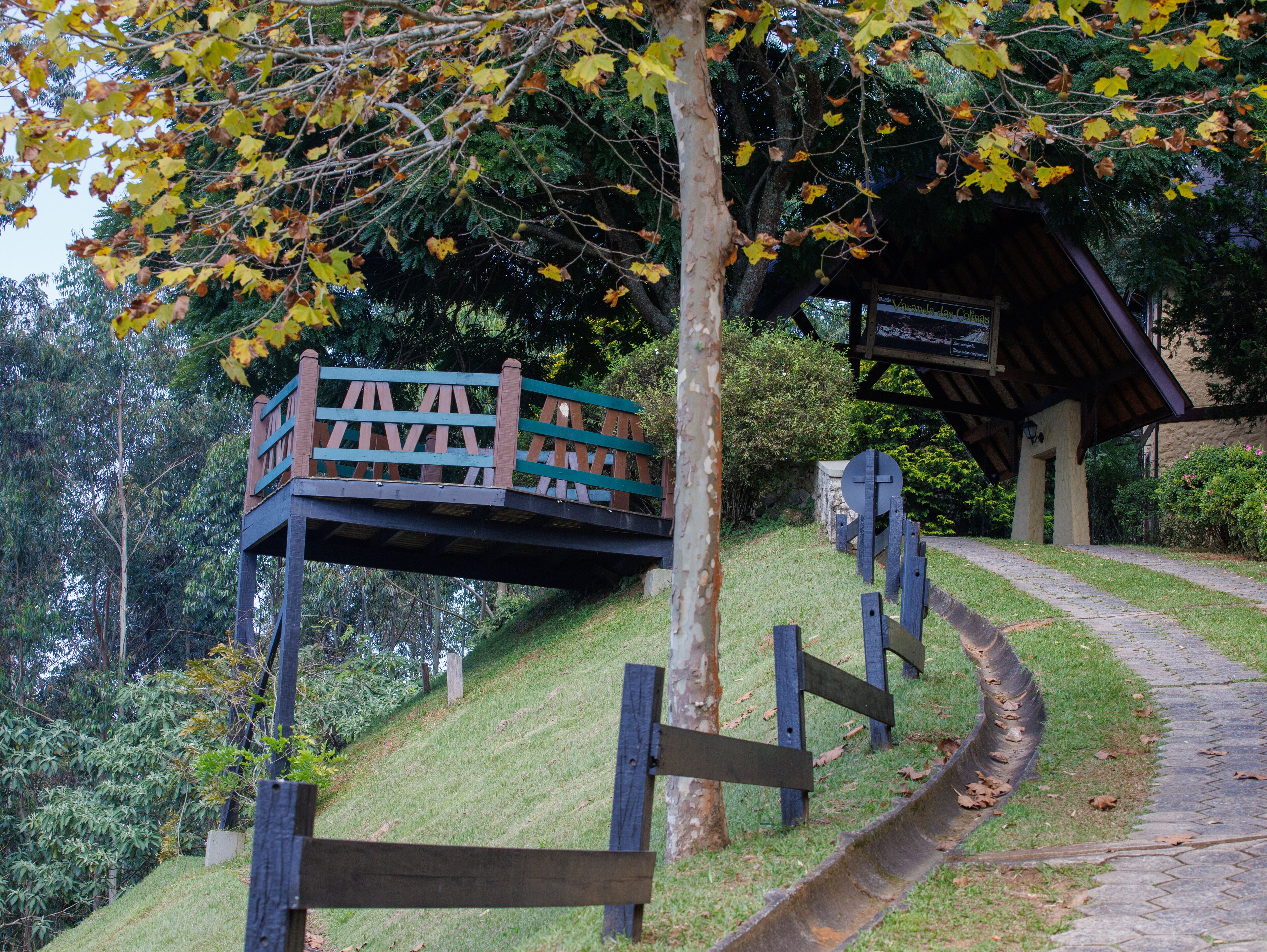 Uma ponte de madeira com um banco, rodeada por árvores e um caminho de pedra.