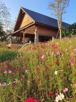 Pequeno-almoço continental diário (250 THB por pessoa) 