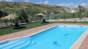 Piscina retangular com desenhos de golfinhos, rodeada por um pátio de tijolos e uma área gramada com espreguiçadeiras e guarda-sóis.