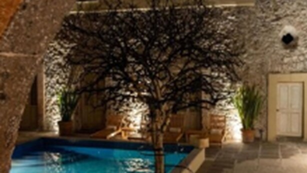 Área de piscina ao ar livre com paredes de pedra e uma árvore.