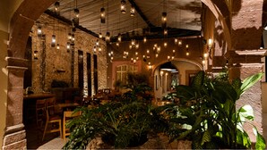 Interior com paredes de pedra, móveis de madeira, luminárias pendentes e plantas em vasos.