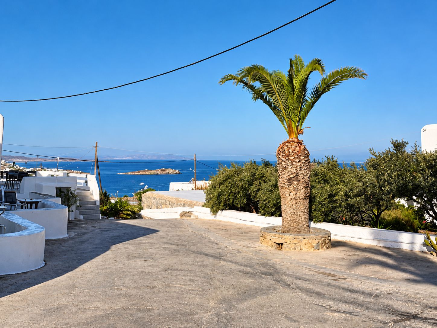 Terraço no telhado com palmeira, vista para o mar e edifícios brancos.