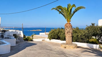 Terraço no telhado com palmeira, vista para o mar e edifícios brancos.
