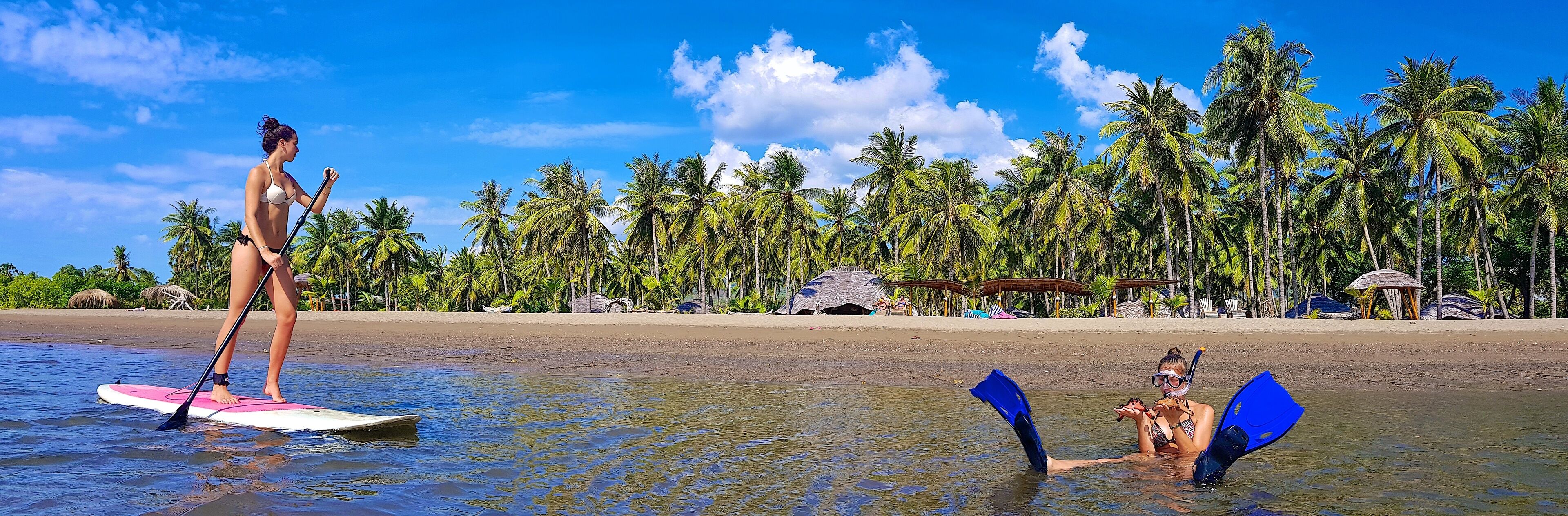 Uma praia com palmeiras e céu claro.