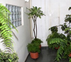 Detalhe da parte interna