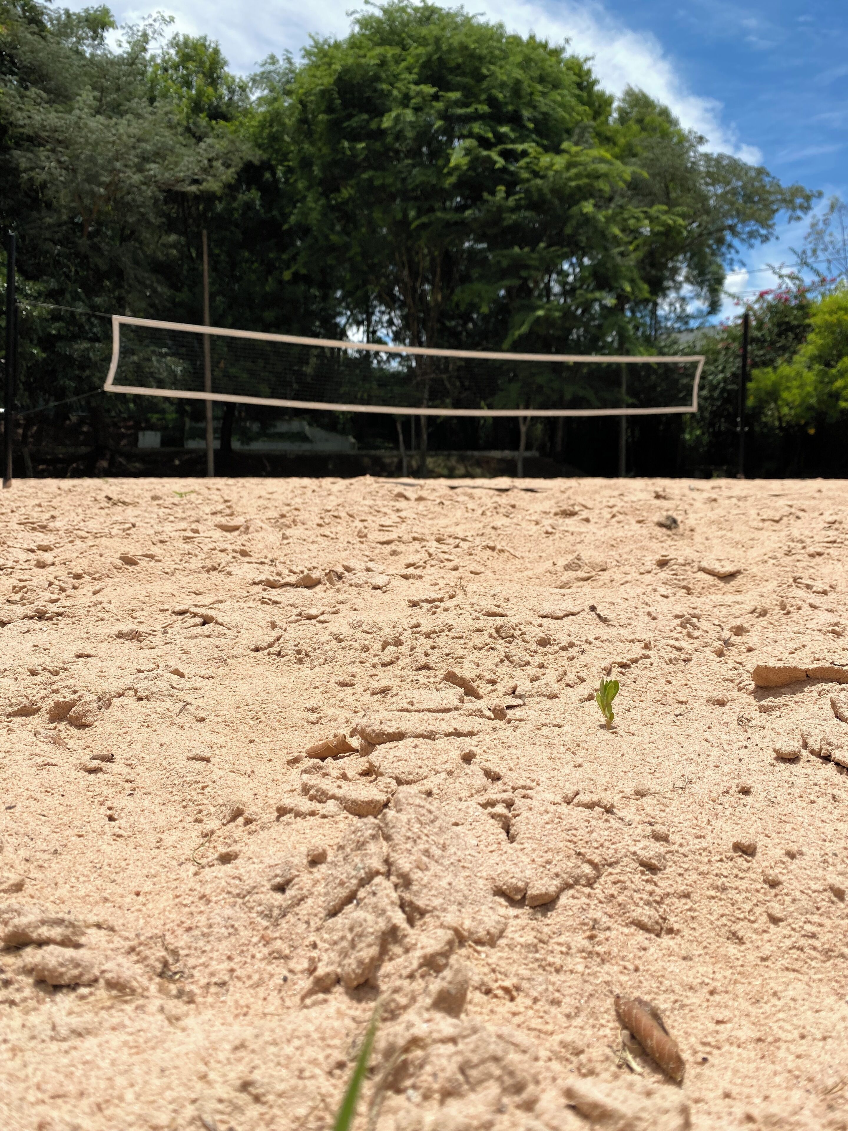 Uma quadra de vôlei de areia com rede, cercada por árvores e um céu claro.