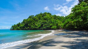 Tulemar Resort: 2022 Room Prices, Deals & Reviews | Expedia.com