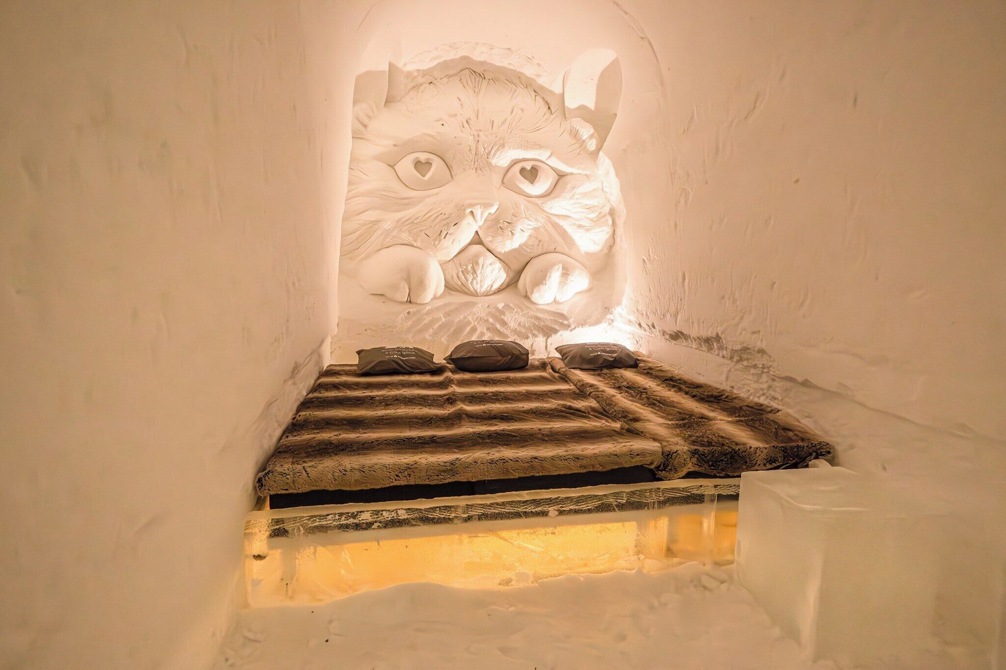 Escultura de gelo de rosto de gato, com uma cama e almofadas dentro de uma estrutura de gelo.