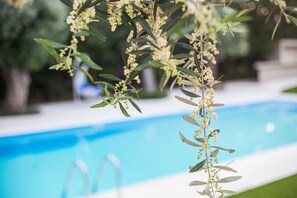 Piscina com água azul cristalina, cercada por vegetação e área ao redor da piscina em branco.