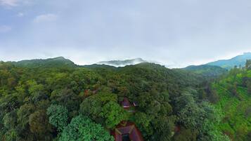 Vista aérea de uma área arborizada com um pequeno edifício rodeado por árvores densas.