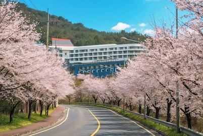 Tongyeong Dongwon Resort & Youth Hostel