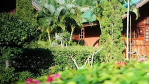 Uma casa de madeira tradicional rodeada por vegetação exuberante e plantas tropicais.