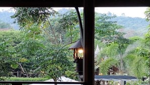 Área externa coberta com vista para uma piscina e vegetação exuberante.