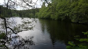 Um lago calmo rodeado por vegetação verde densa.