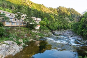 Um rio serpenteando por uma área arborizada, com um edifício ao lado.
