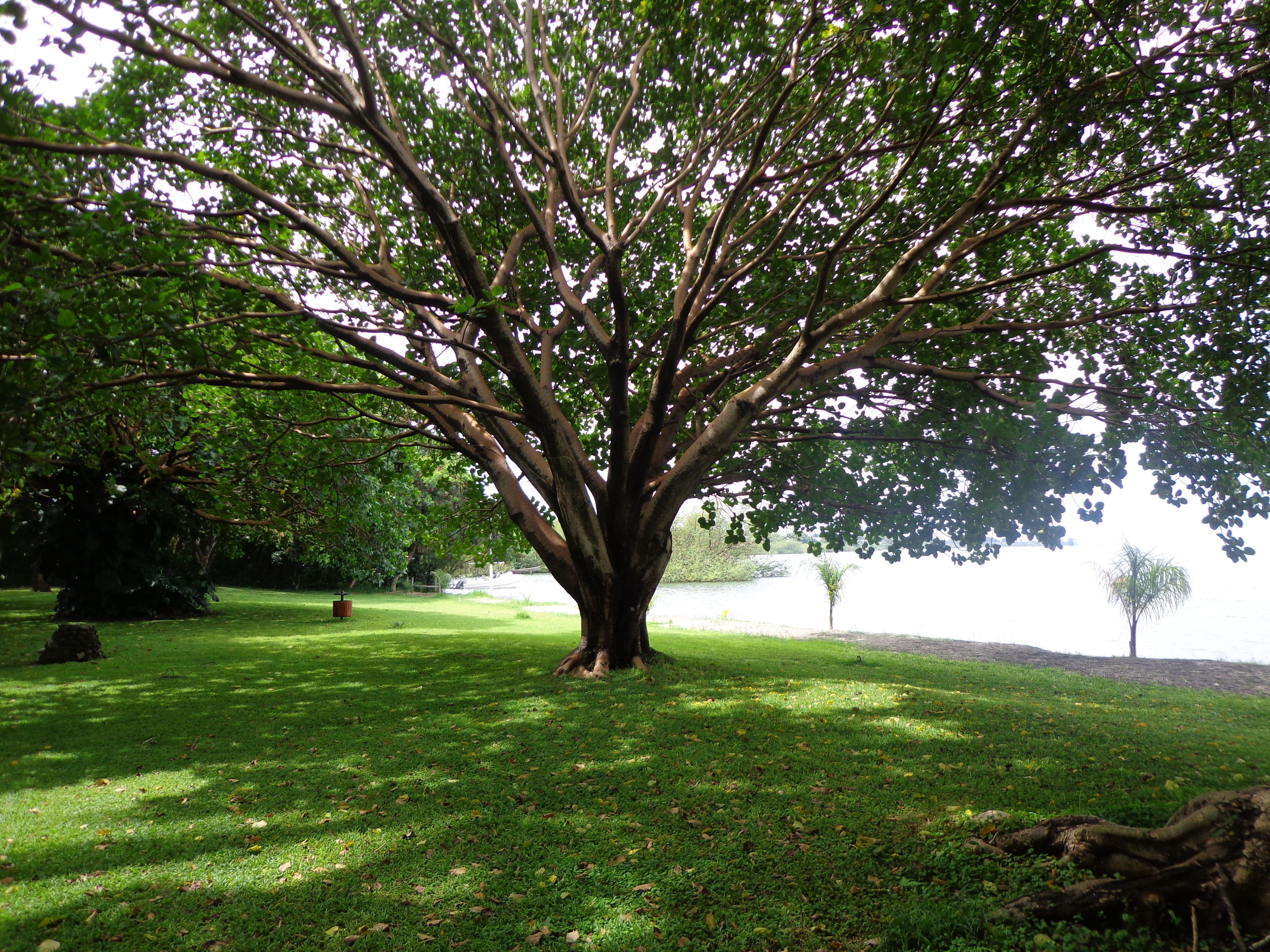 Rusinga Island Lodge Reviews, Deals & Photos 2024 - Expedia