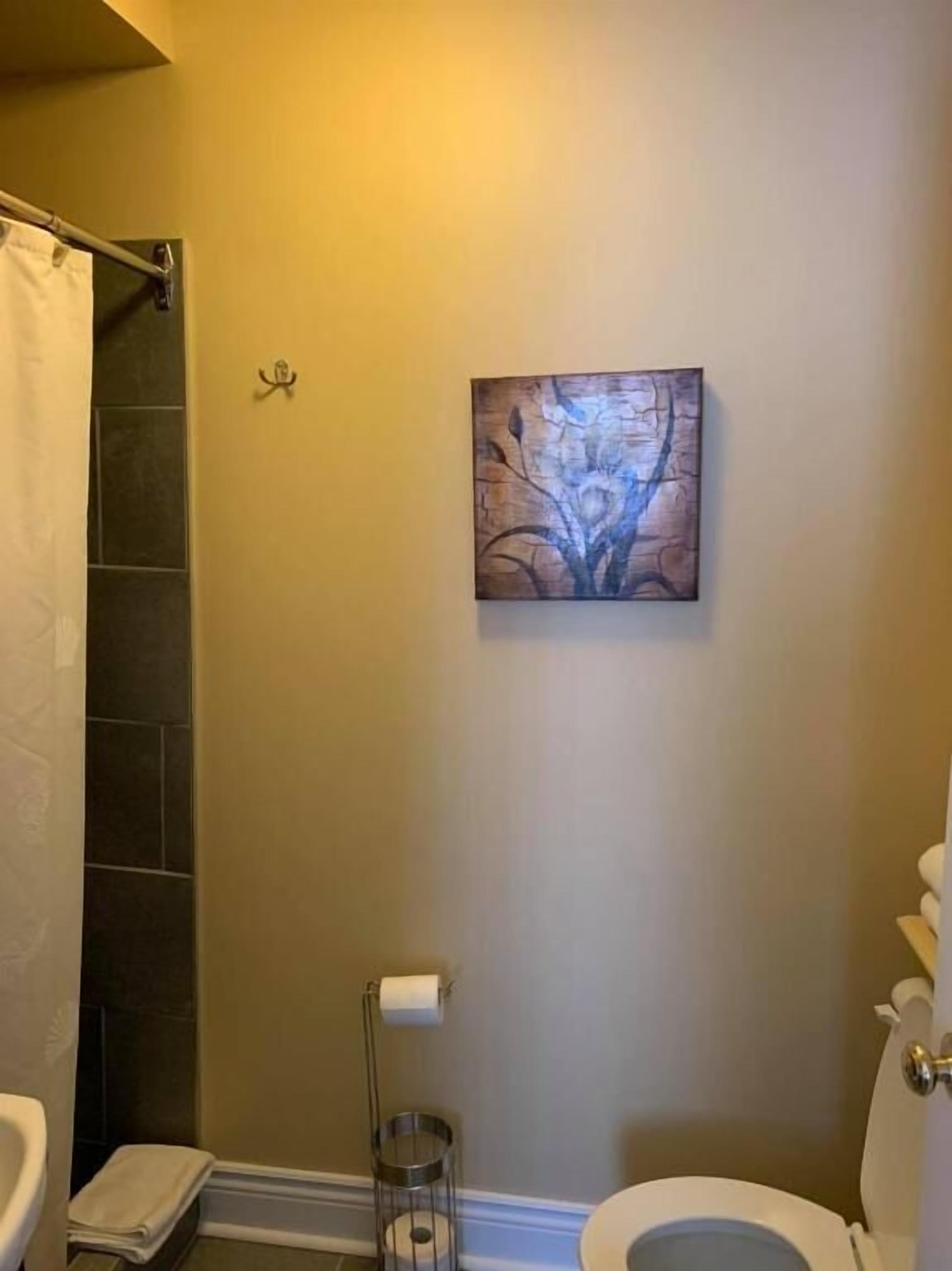 Casa de banho com chuveiro, sanita e um quadro pendurado na parede.