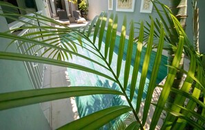 Villa de Luxo, 1 quarto, fumadores, vista para a piscina | Vista para o pátio