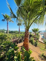 Vista para o jardim