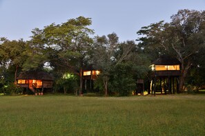 Suite | Roupa hipoalergénica, minibar, com decoração personalizada 