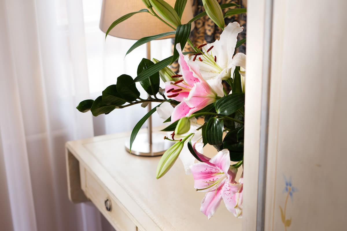 Apartamento | Comodidade do quarto